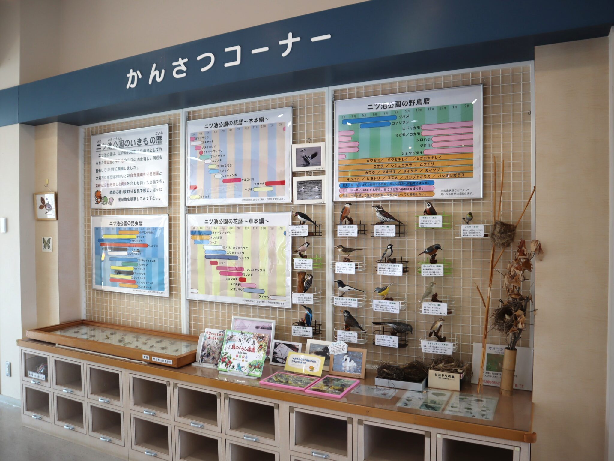 セレトナのご案内